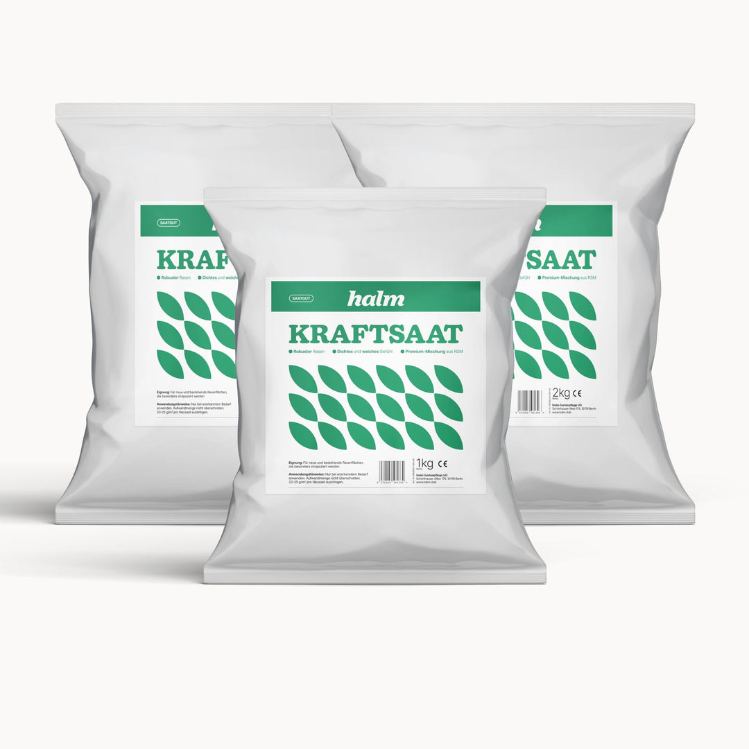 Neusaat – Halm